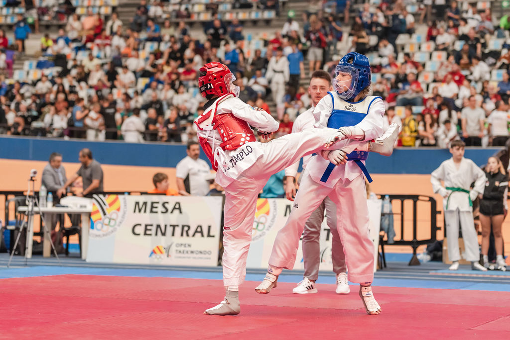 Federación de Taekwondo de la Comunidad Valenciana | Club deportivo en València